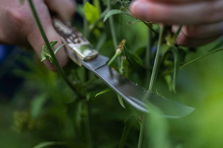 Best Hawkbill Knives: Getting Hooked - BLADE Magazine